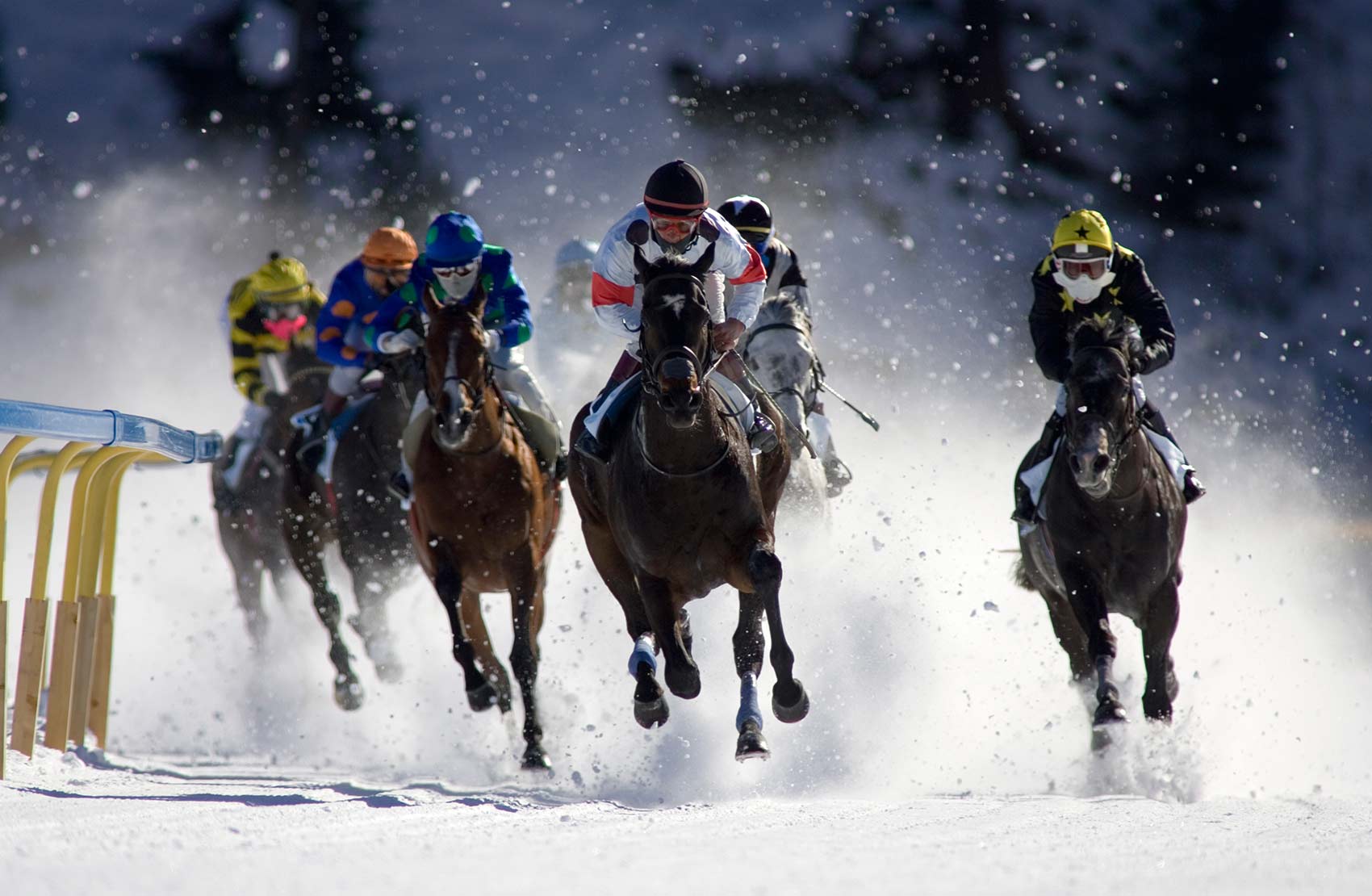 Snow-racing : de Mallet Morgan